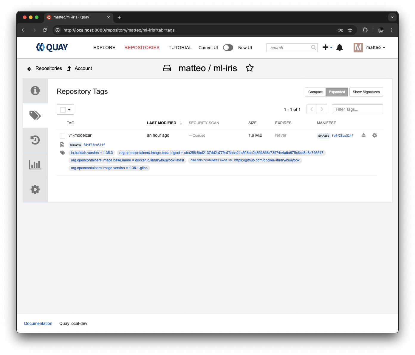 Demo 1: Introduction - OCI Artifact for ML model & metadata